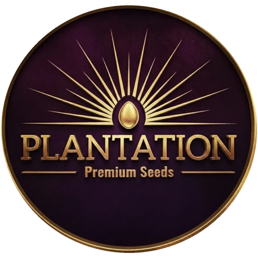 Anatomie du plant de cannabis — Plantation Premium Seeds | Plantation ...